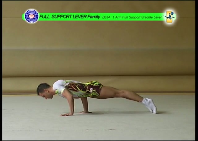 Full Support Lever : Some Example